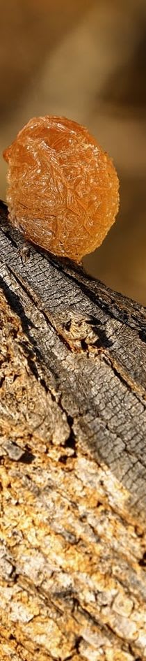 Documents - Morouj Commodities UK Limited - Knowde