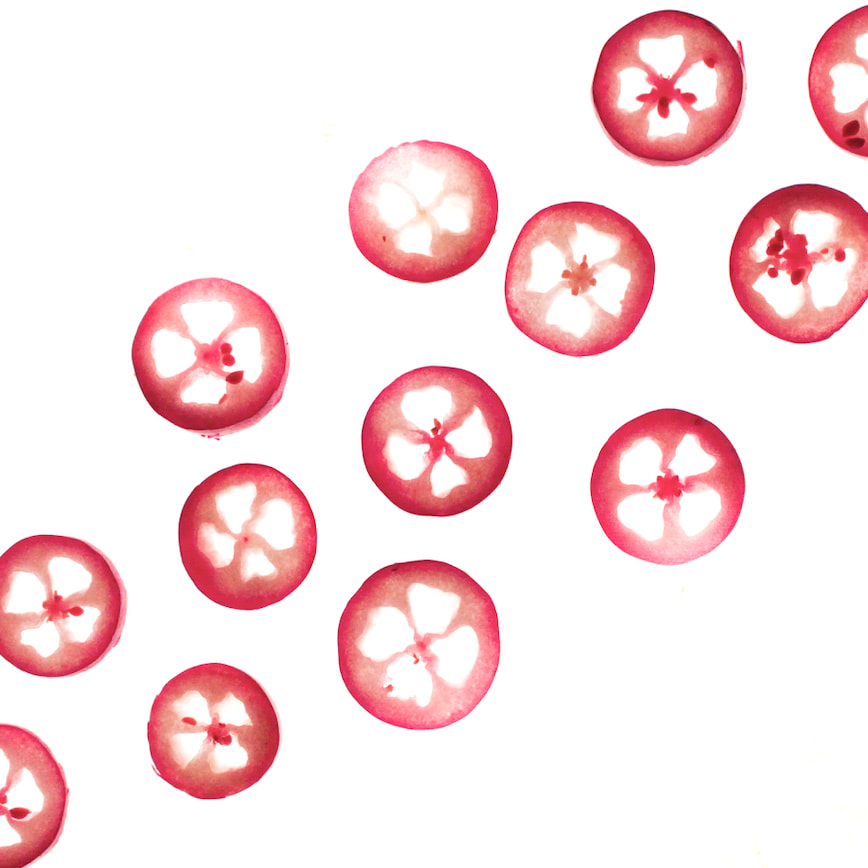 Activ'Inside - Neuronutrition - Nutricosmetics - Knowde