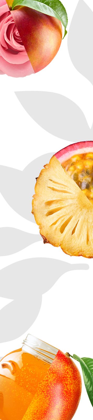 Flavor Producers - Flavors - Extracts - Natural - Organic