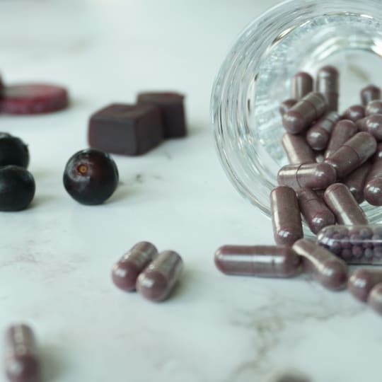 BioActor - Nutrition - Extracts - Nutraceuticals - Knowde