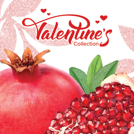 Flavor Producers - Flavors - Extracts - Natural - Organic