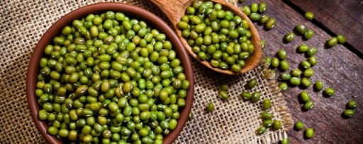 Guzen Development, Inc. - Knowde