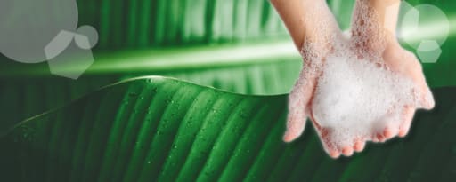 Products - Stepan Company - Knowde