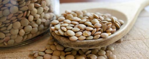 Guzen Development, Inc. - Knowde