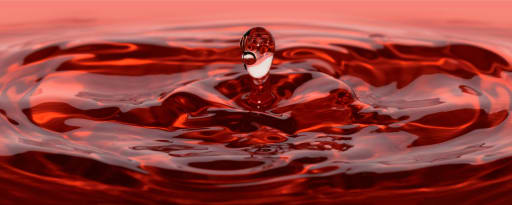 Metarom - Flavor - Extracts - Caramels - Functional Ingredients