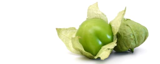 Red Oak Foods - Knowde