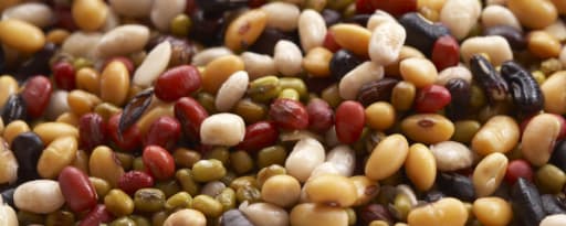 Red Oak Foods - Knowde