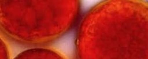 AstaReal - Astaxanthin - Natural - Antioxidant - Knowde