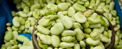 Guzen Development, Inc. - Knowde