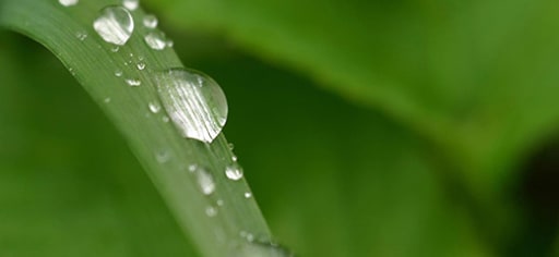 Products - Croda - Knowde