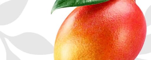 Flavor Producers - Flavors - Extracts - Natural - Organic