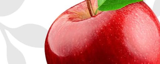 Flavor Producers - Flavors - Extracts - Natural - Organic