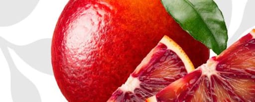 Products - Flavor Producers - Knowde