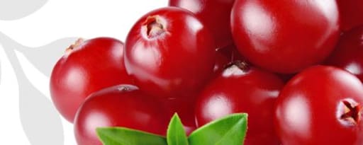 Products - Flavor Producers - Knowde