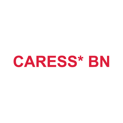 CARESS BN 12 - Bent Tree Industries - Boron Nitride - 10043-11-5
