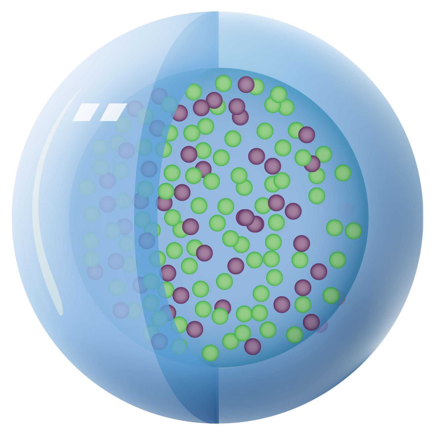 SalSphere - Natural Anti-Aging - Salvona Encapsulation - Knowde