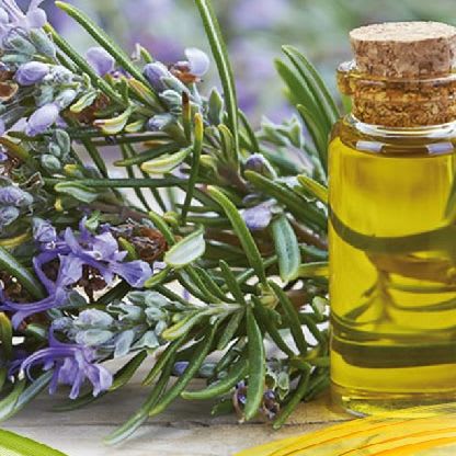 Flavex Camomile Extract CO2-to, Flower - FLAVEX Naturextrakte