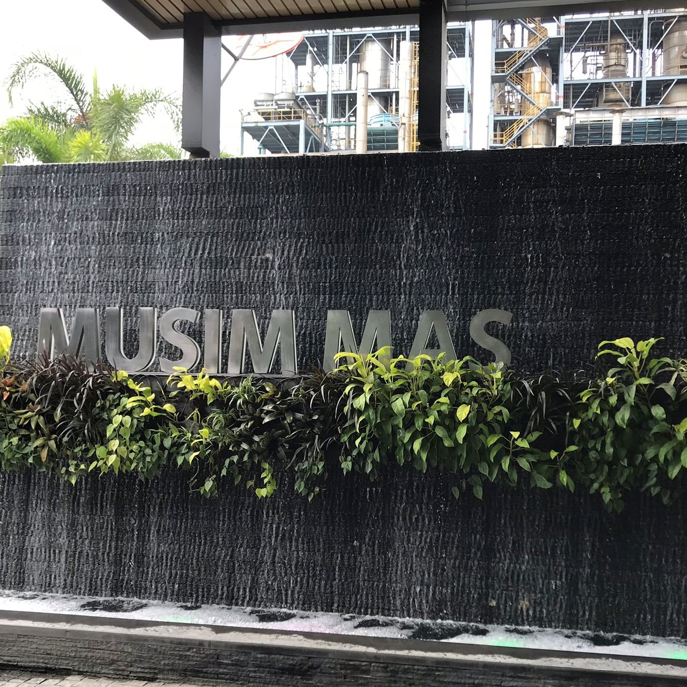 Musim Mas Group experts - Knowde