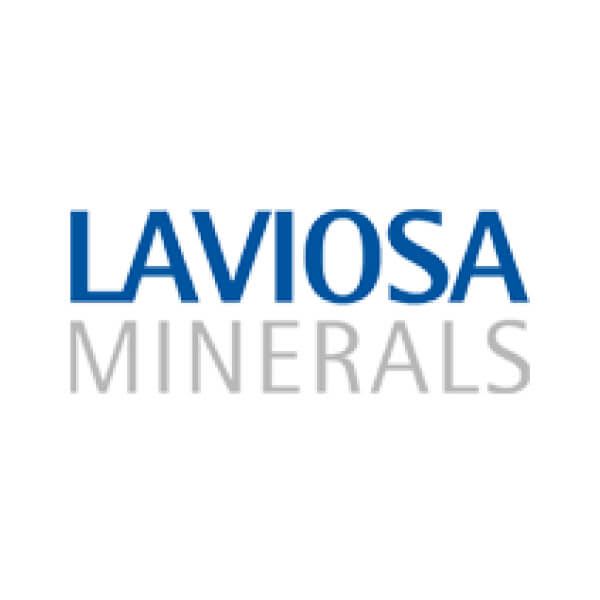 LAVIOSA VISCOGEL ED - Laviosa Minerals - Rheology Modifier