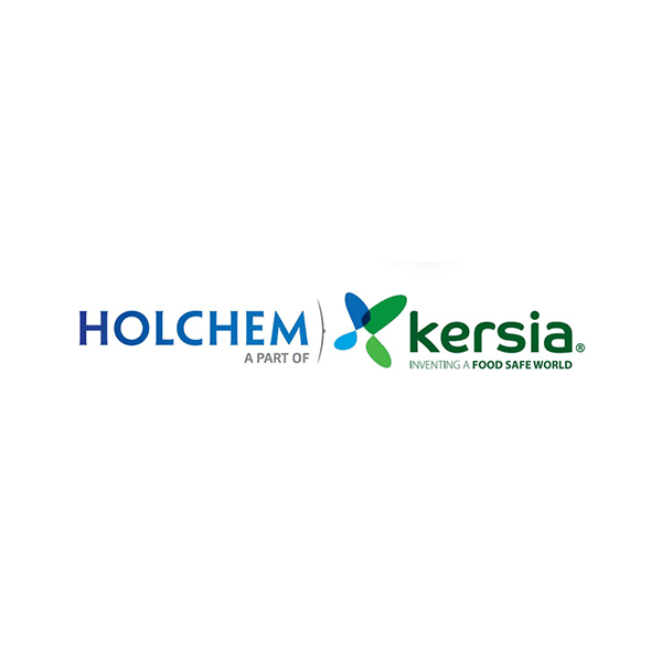 Holchem Premium Washing Up Liquid - Dishes - Amines - REACH