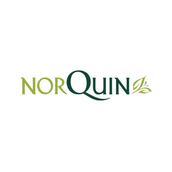 how to cook norquin quinoa