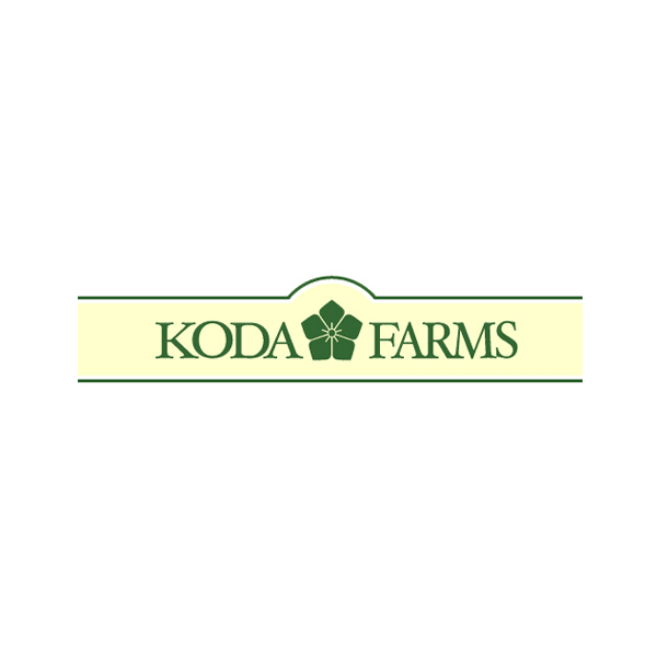 Certified Organic Blue Star Mochiko Sweet Rice Flour - Koda Farms
