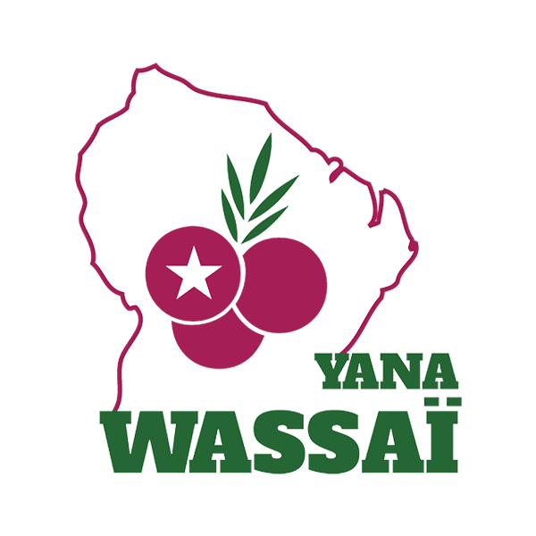 YANA WASSAI WASAI - Acai Berries - Additive-free - BRC Certified