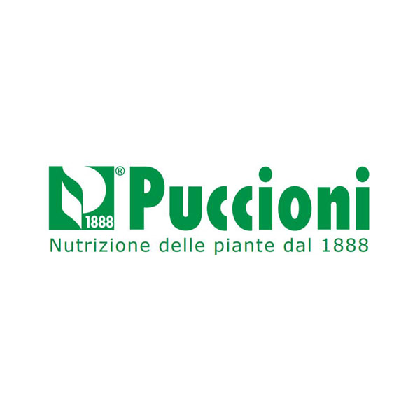 Puccioni - Knowde