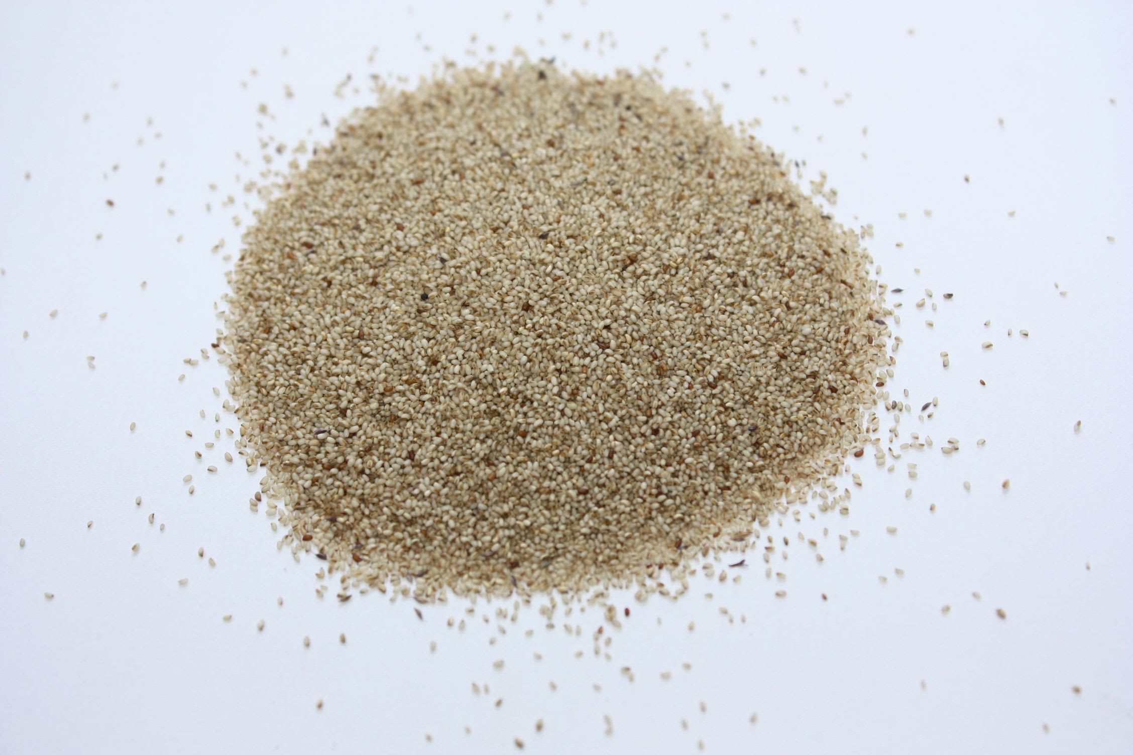 Teff Grain White - MP-Teff - Millets Place - White Teff Flour