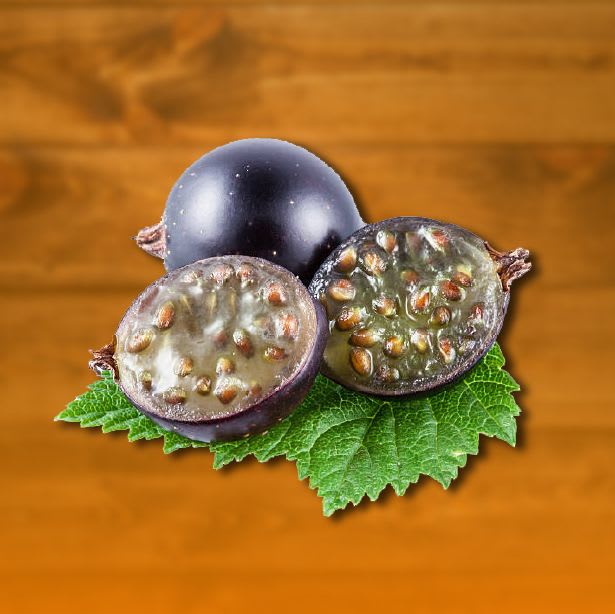 Aseptic - Black Currant Purée - Aseptic Fruit Purees - Knowde