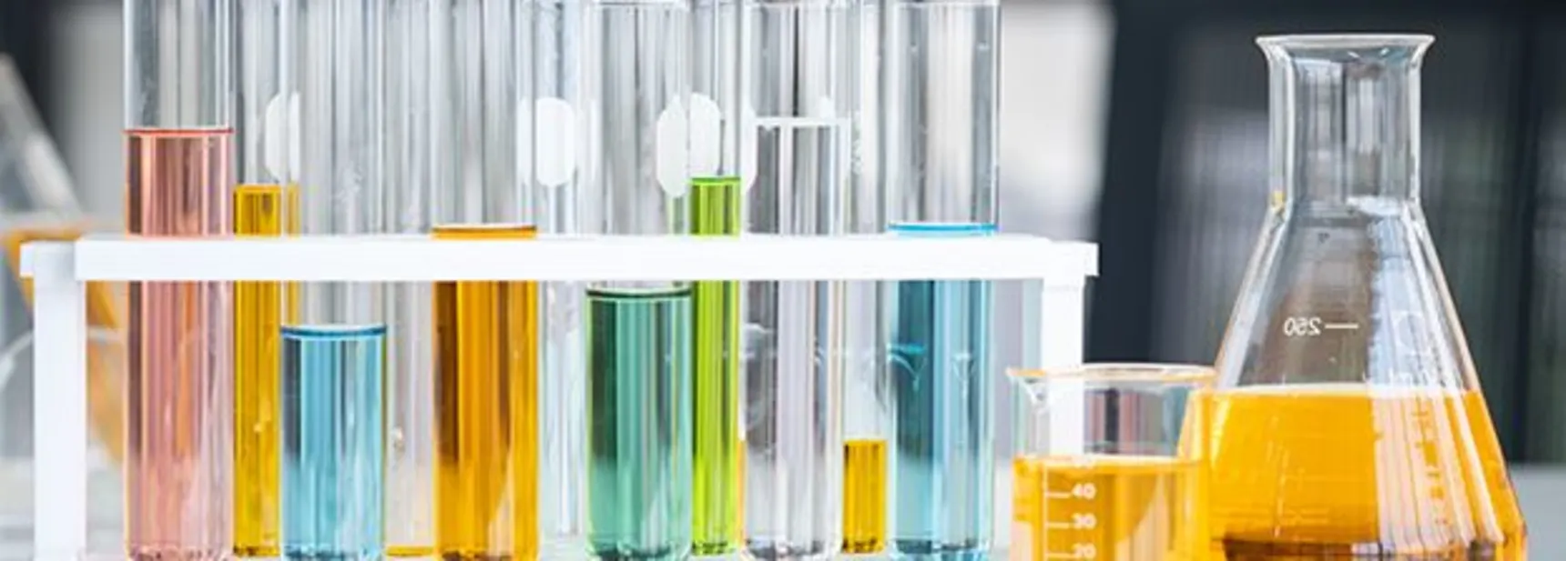 Solvents & Carriers - CASE Ingredients