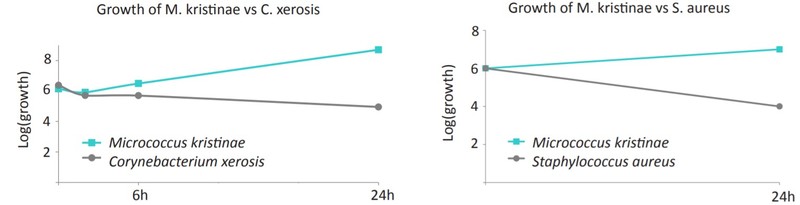 BioEcolia® - Solabia Group - Knowde