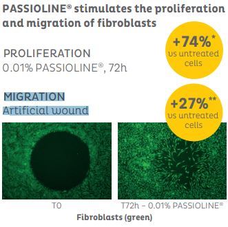 Passioline® | Laboratoires Expanscience | Knowde