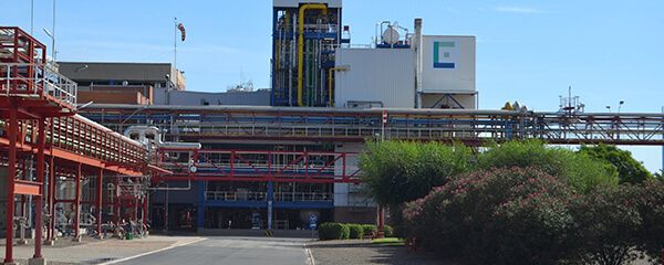 ELIX Polymers | Knowde