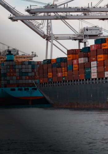 platinum plus dfx dpf