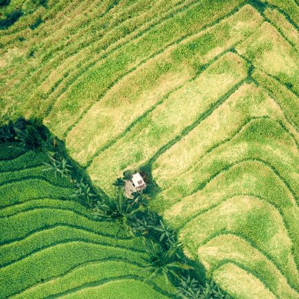 Acesur North America, Inc. - Knowde